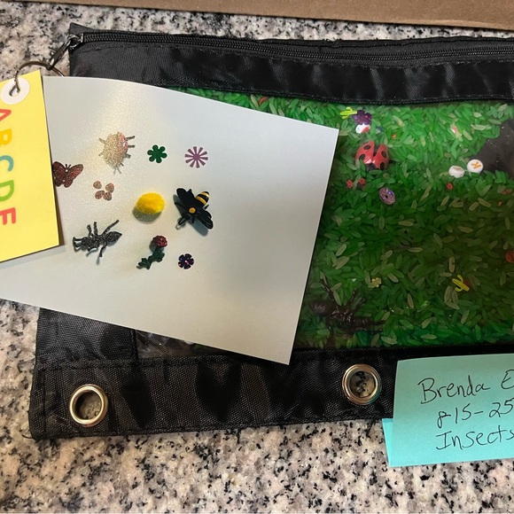 Toys | I Spy Alphabet And Insect Theme Sensory Bag | Poshmark